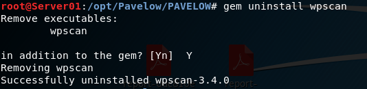 Cannot run wpscan after updating Kali · Issue #1243 · wpscanteam/wpscan · GitHub