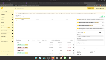 GitHub - patrickchirdon/echobot