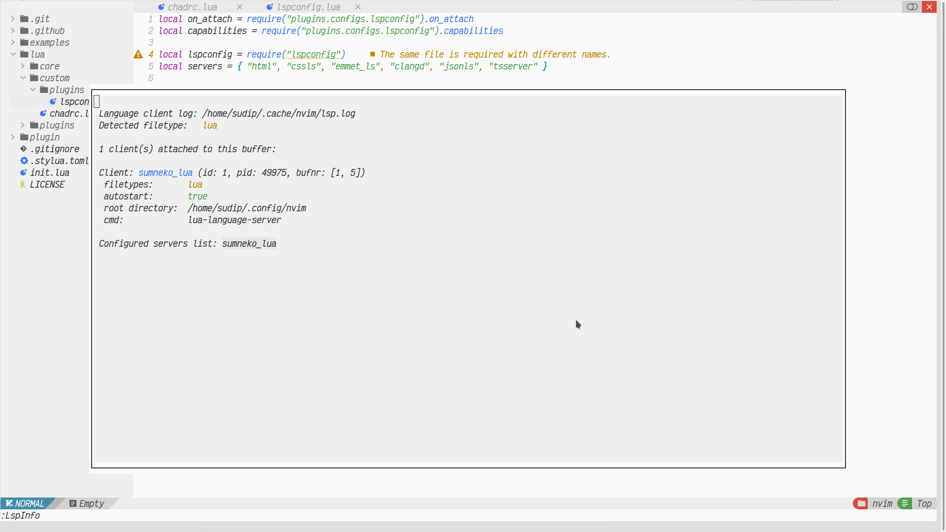 Cannot setup lsp · Issue #1438 · NvChad/NvChad · GitHub