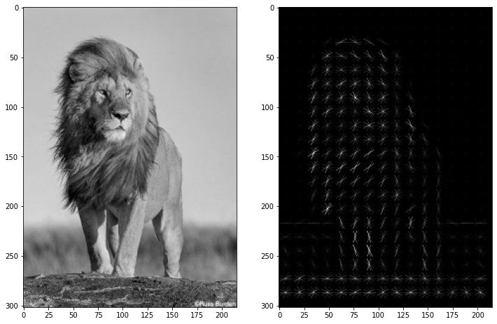 Github Ahmedatef1610image Classification Web App In Flask Using Machine Learning Develop And 9404