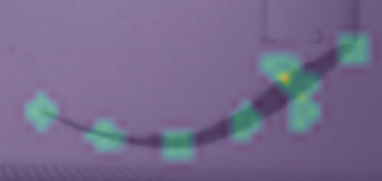 Consistent offset of labels when using EfficientNet · Issue #1509 · DeepLabCut/DeepLabCut · GitHub