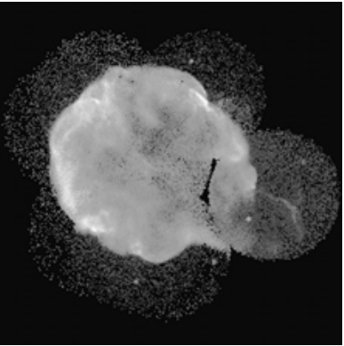 GitHub - strawhat98/Edge_detection_algorithm: Implementation of Edge ...