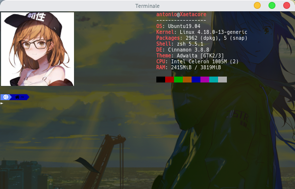 Small image with huge spacing · Issue #1168 · dylanaraps/neofetch · GitHub