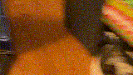 GitHub - Chris970715/Automatic-Pet-Feeder