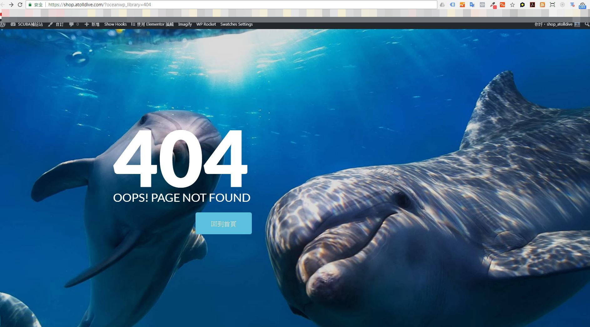 404 question · Issue #111 · oceanwp/oceanwp · GitHub