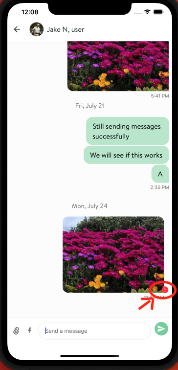 [🐛] Not Able To Customize The Error Icon When Sending The Message Fails · Issue 2199