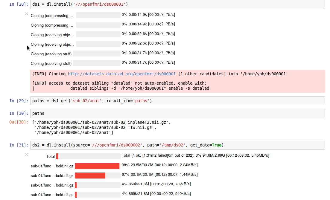glitches with progress bars in ipython/jupyter notebook · Issue #3022 · datalad/datalad · GitHub