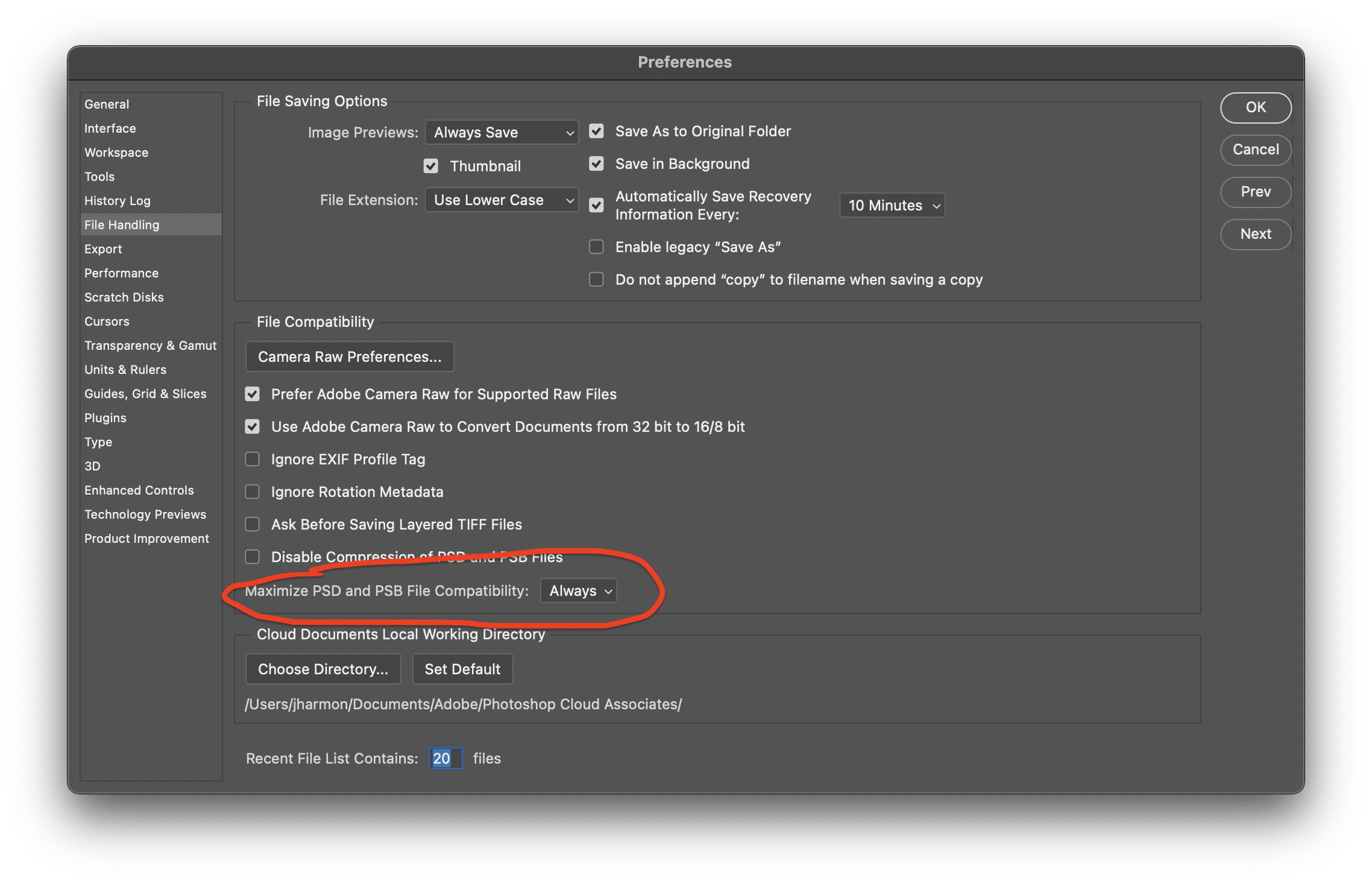 Checking for Maximized Compatibility in PSD/PSBs · ImageMagick ...