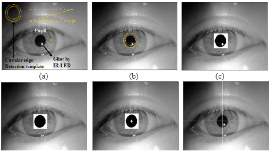 GitHub - Jahidur1414/Online-Proctoring-AI: This one is a AI based online Proctoring system.
