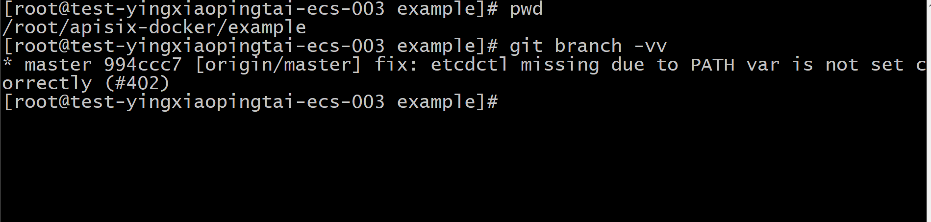 根据apisix-docker/example安装失败 · Issue #416 · apache/apisix-docker · GitHub