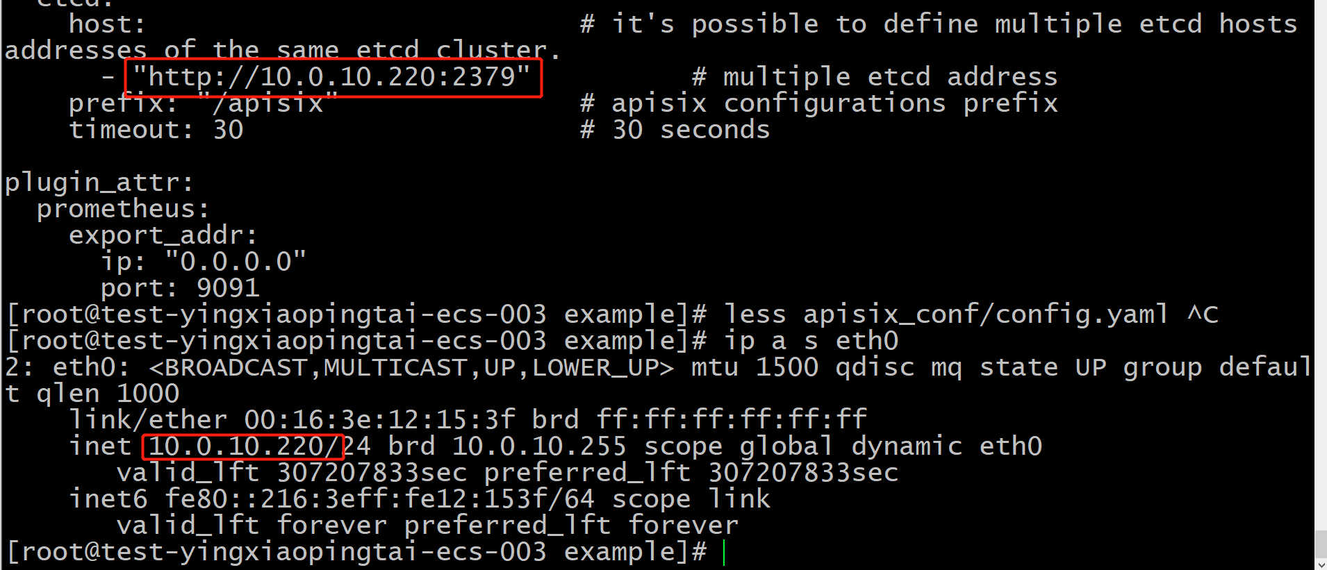 根据apisix Docker Example安装失败 · Issue 416 · Apache Apisix Docker · Github