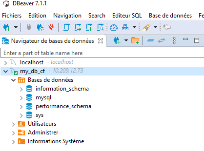 Configure system objects visibility for connections · Issue #285 · dbeaver/cloudbeaver · GitHub