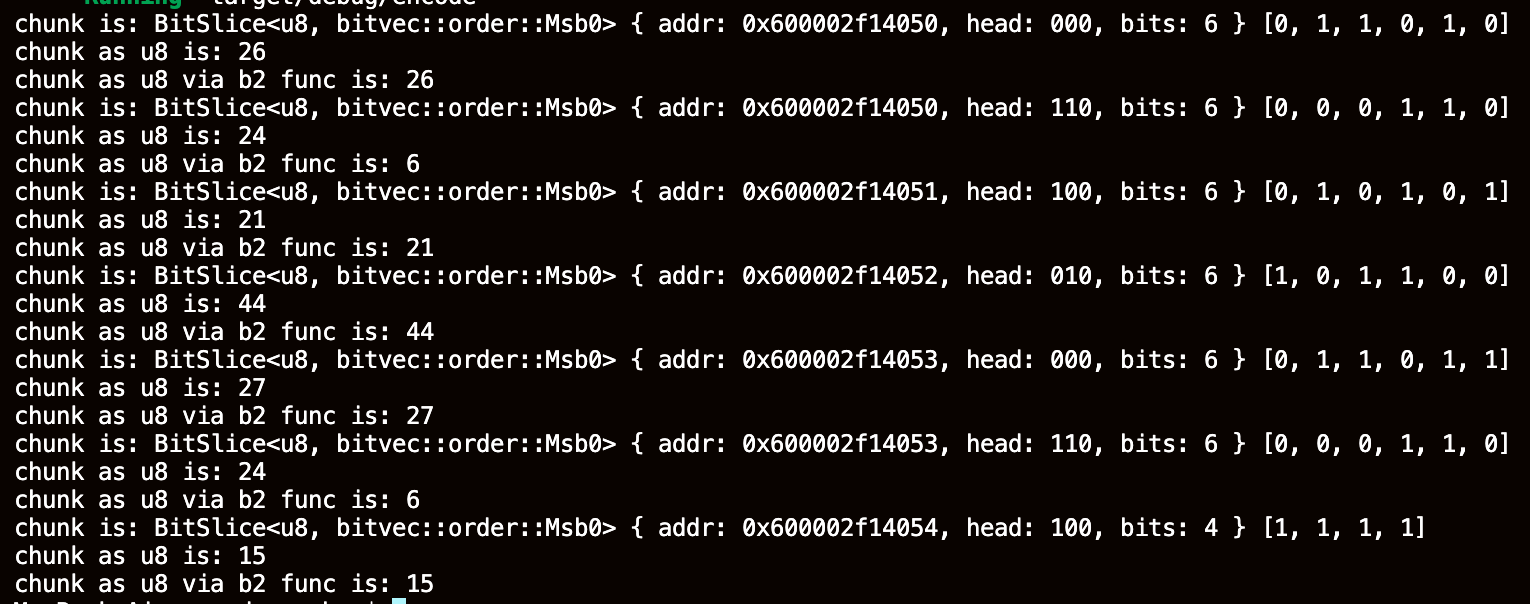 Bitslice chunk returns unexpected result for `load:: ()` in some cases · Issue #187 · ferrilab ...