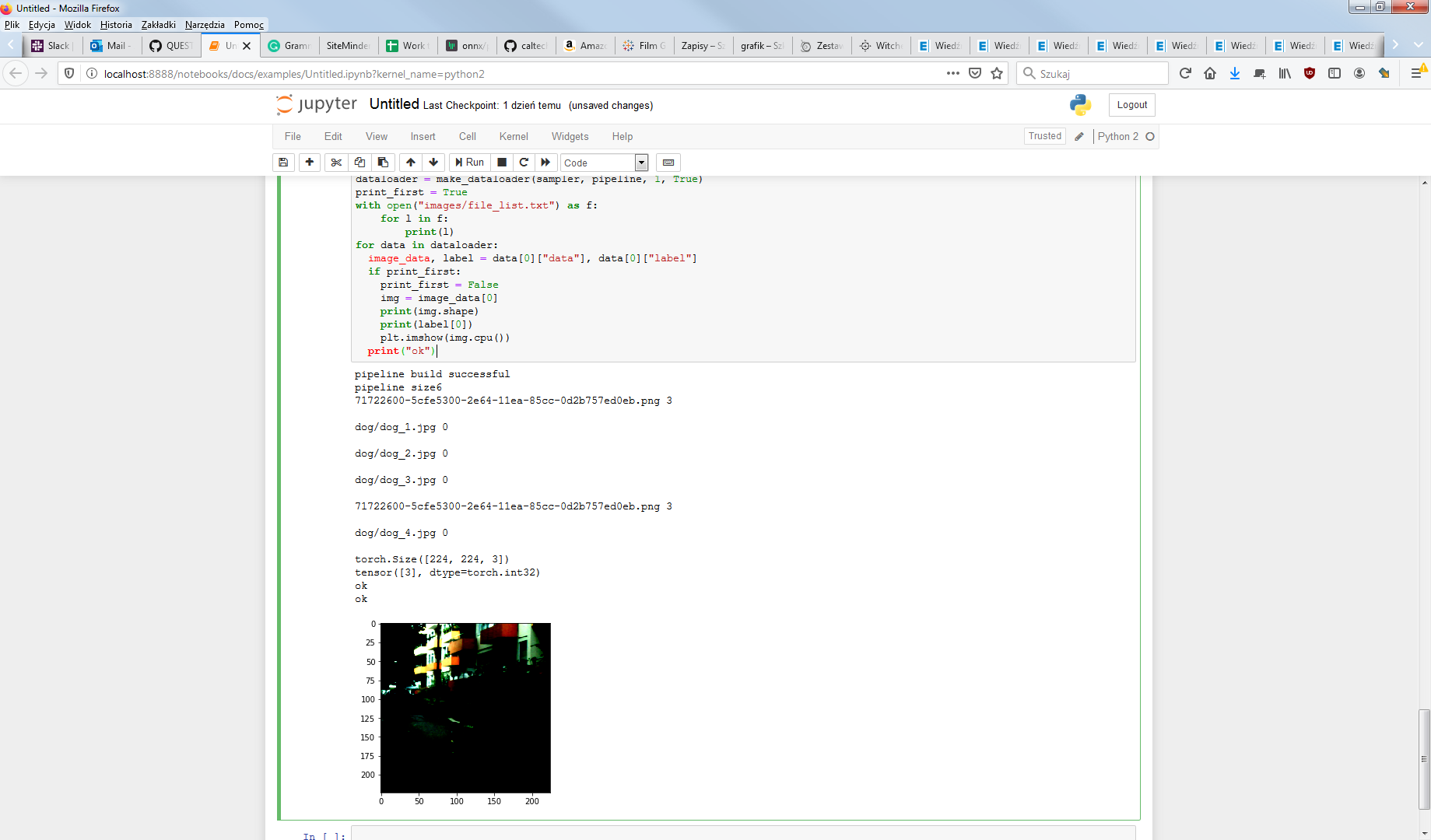 QUESTION: How to implement a custom sampler · Issue #1356 · NVIDIA/DALI · GitHub