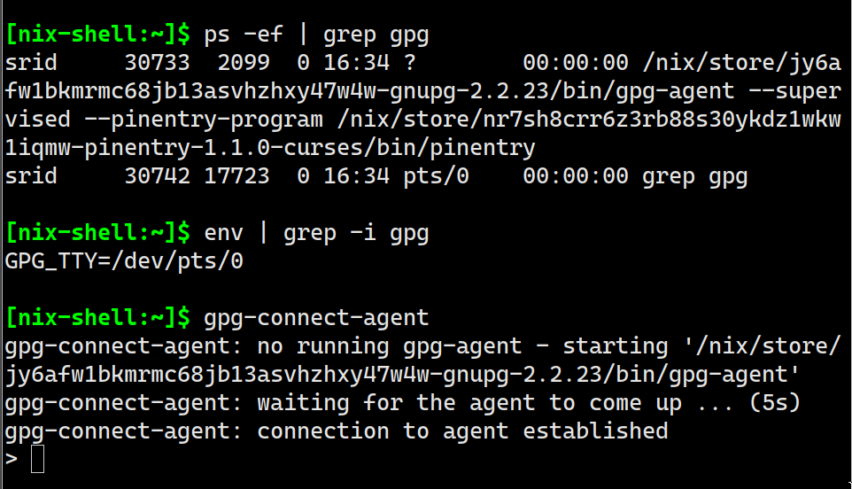 GPG: No pinentry · Issue #35464 · NixOS/nixpkgs · GitHub