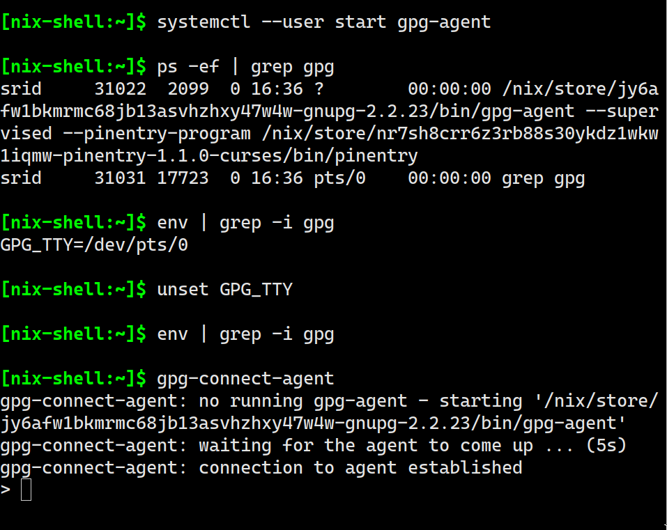 GPG: No pinentry · Issue #35464 · NixOS/nixpkgs · GitHub