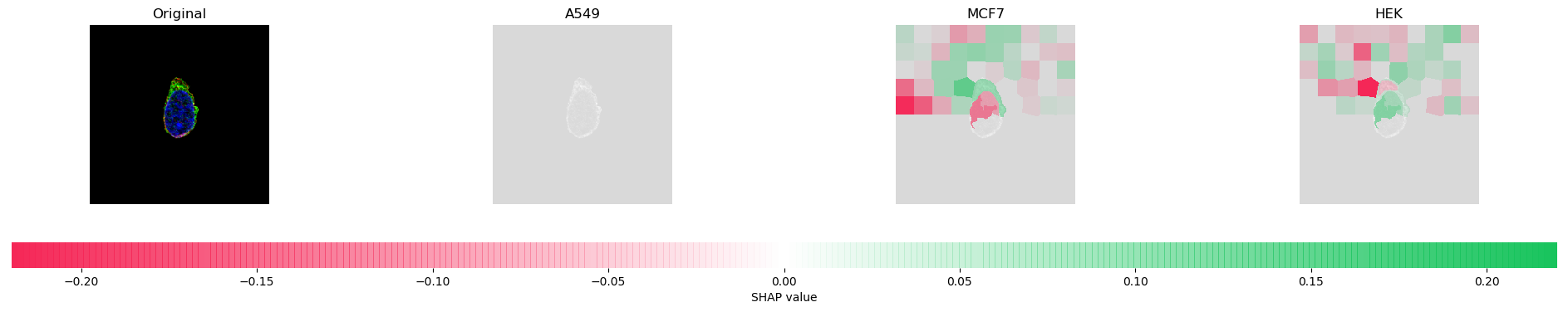 Weird KernelExplainer behavior on Image Classification Network · Issue ...