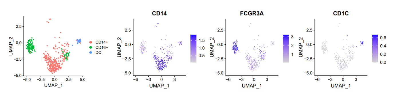 Issues when trying to coembed scRNA and scATAC data · Issue #219 · stuart-lab/signac · GitHub