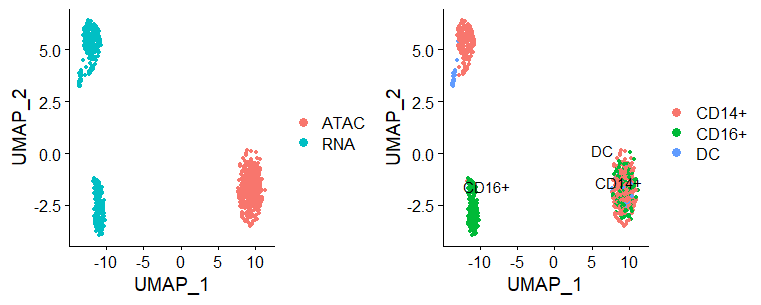 Issues when trying to coembed scRNA and scATAC data · Issue #219 · stuart-lab/signac · GitHub