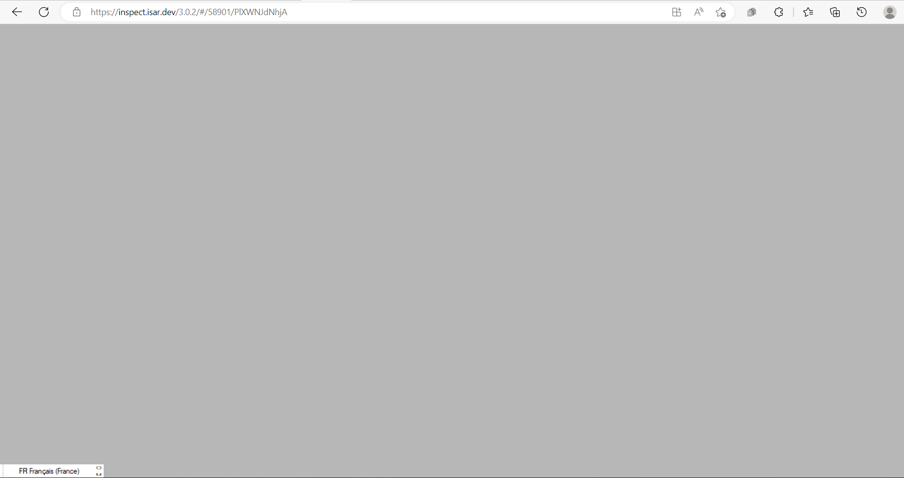 Grey Screen In Isar Inspector · Issue 838 · Isar Isar · Github