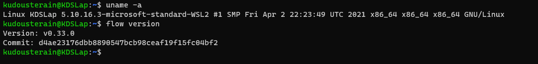 Unable to install on WSL · Issue #490 · onflow/flow-cli · GitHub