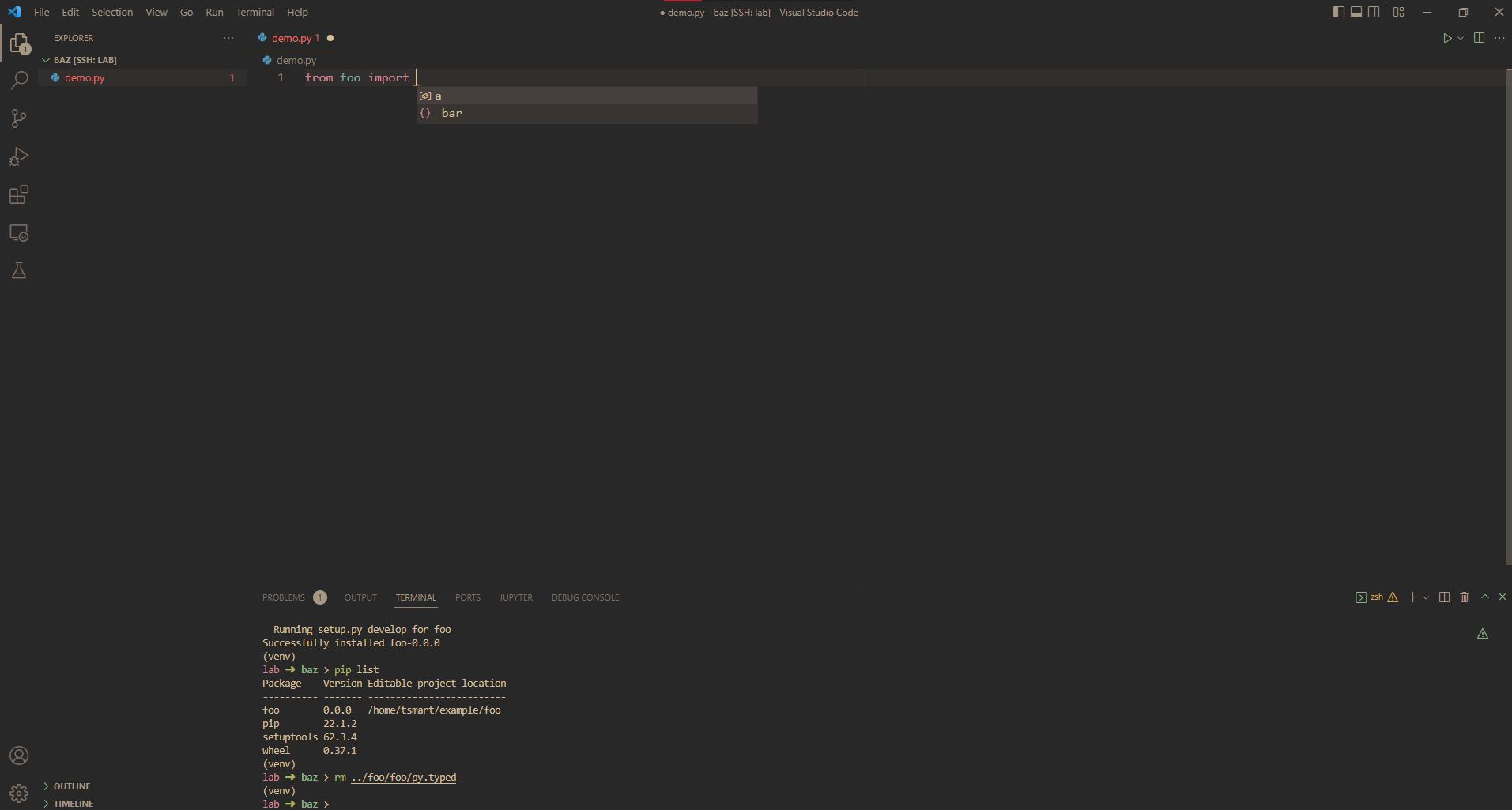 Issue with package including a py.typed file · Issue #2965 · microsoft/pylance-release · GitHub