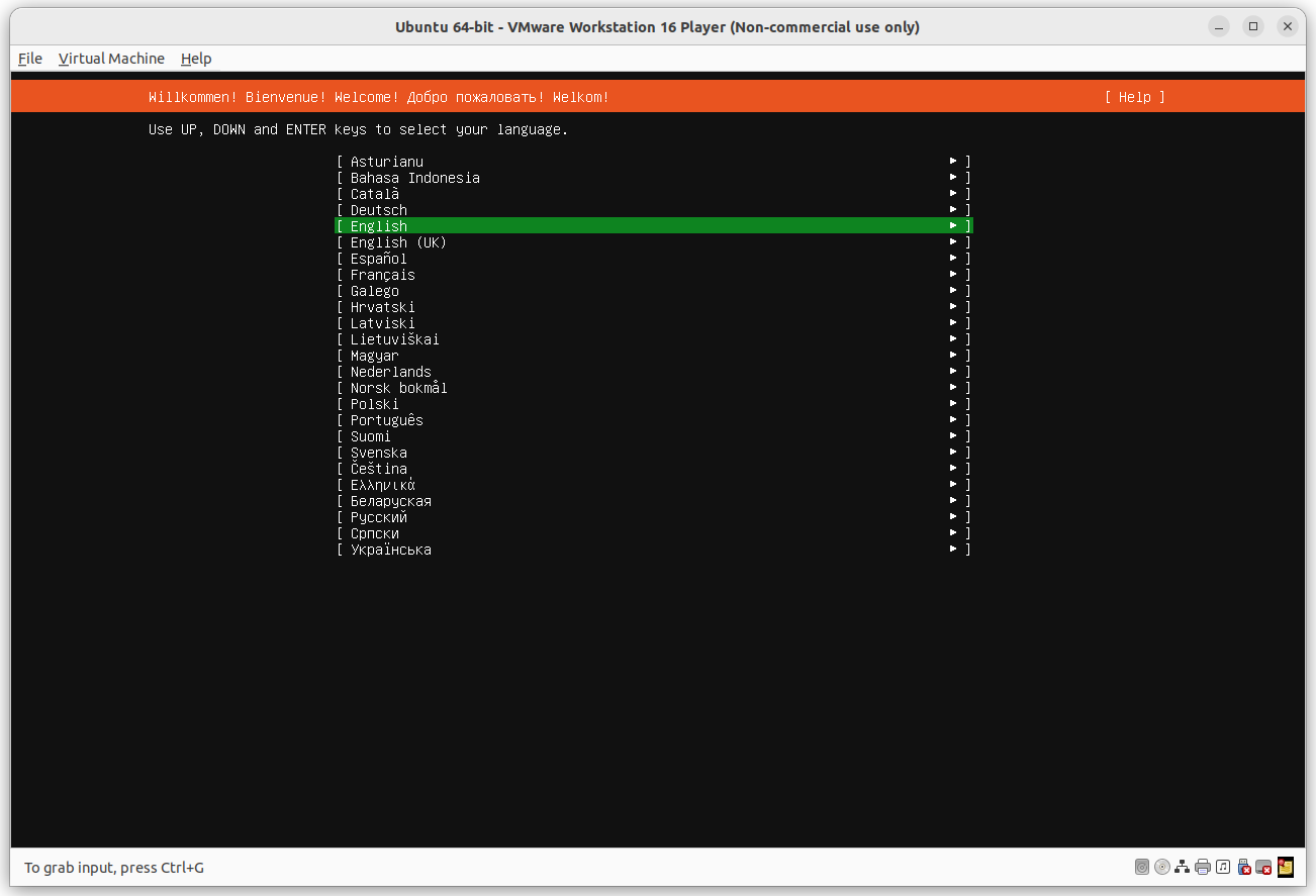 GitHub - frenkyst/UbuntuServerVMware