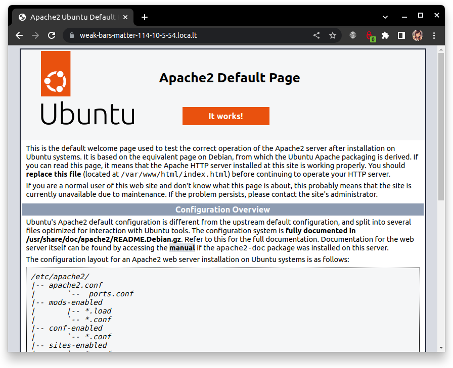 GitHub - frenkyst/LocalTunel
