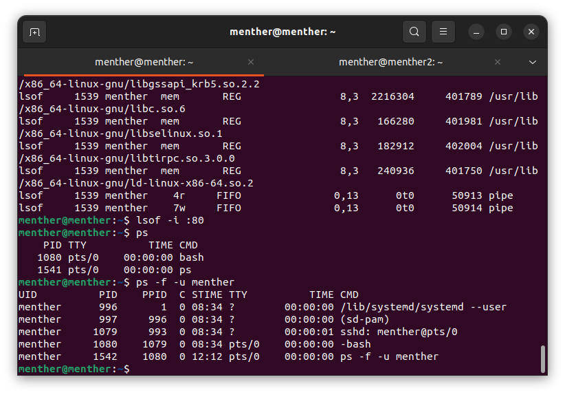 GitHub Frenkyst Manage Server github-frenkyst-manage-server