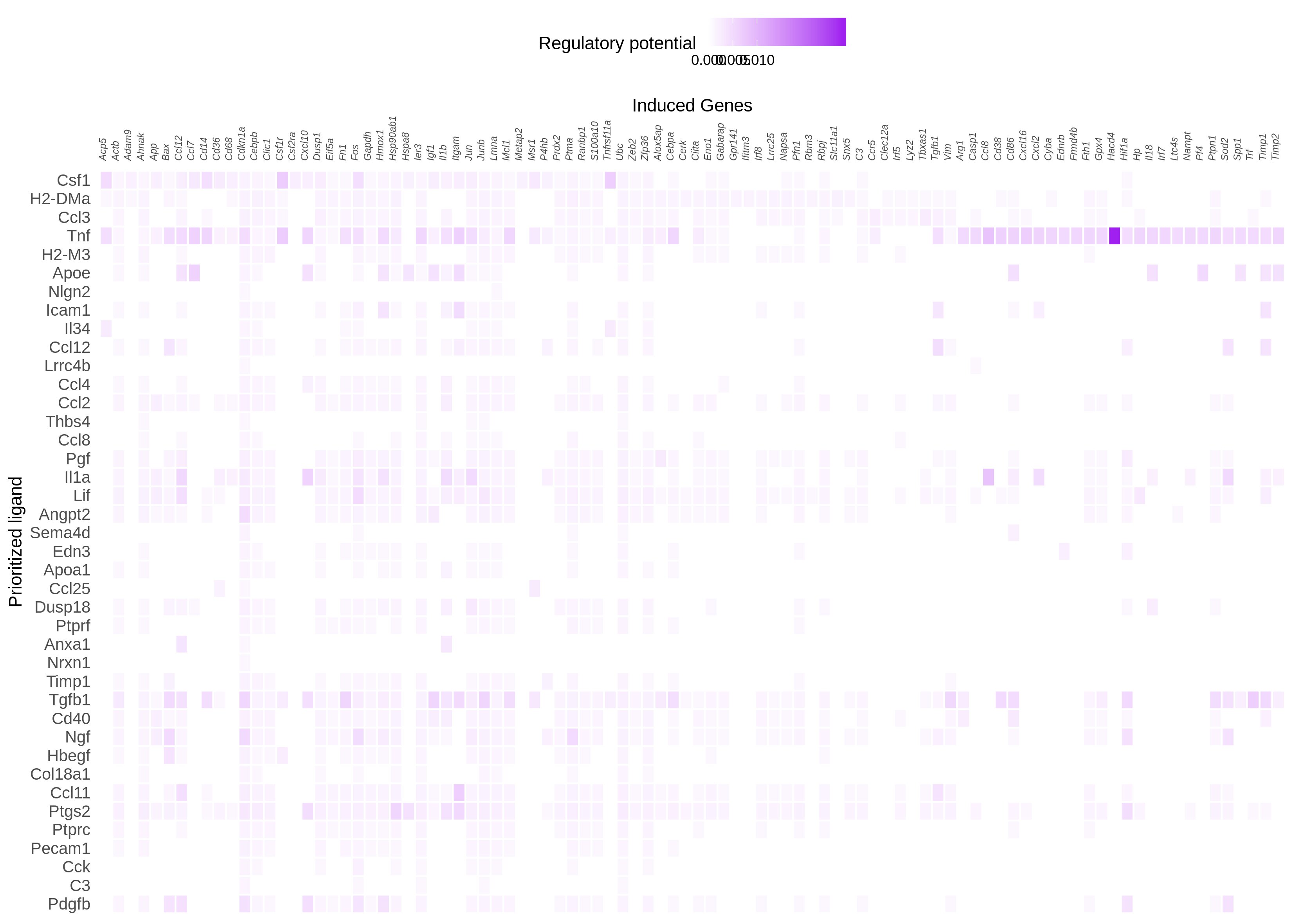 PCC of ligand activity 'contradicts'(?) the regulatory potential scores obtained later · Issue ...