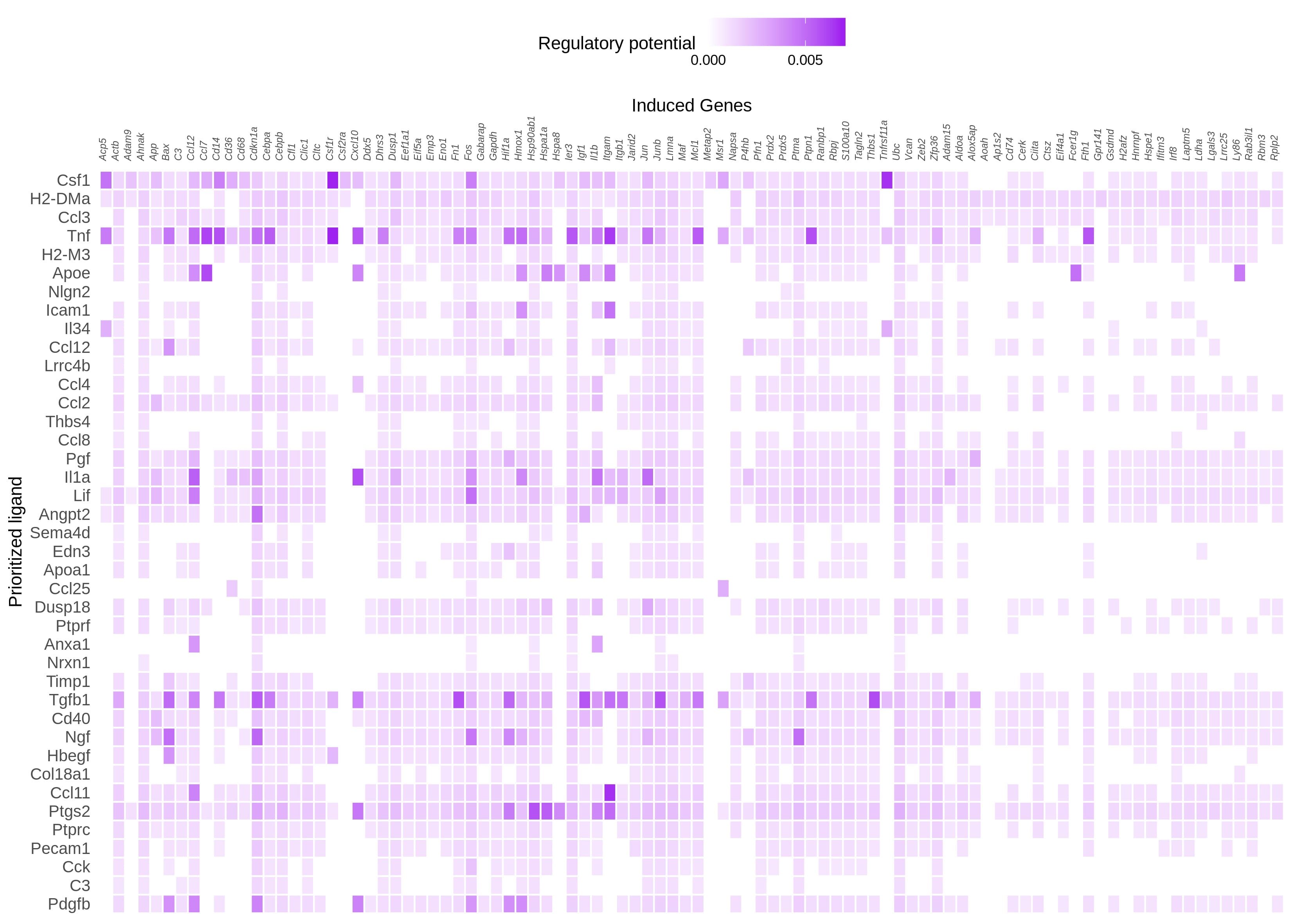 PCC of ligand activity 'contradicts'(?) the regulatory potential scores obtained later · Issue ...