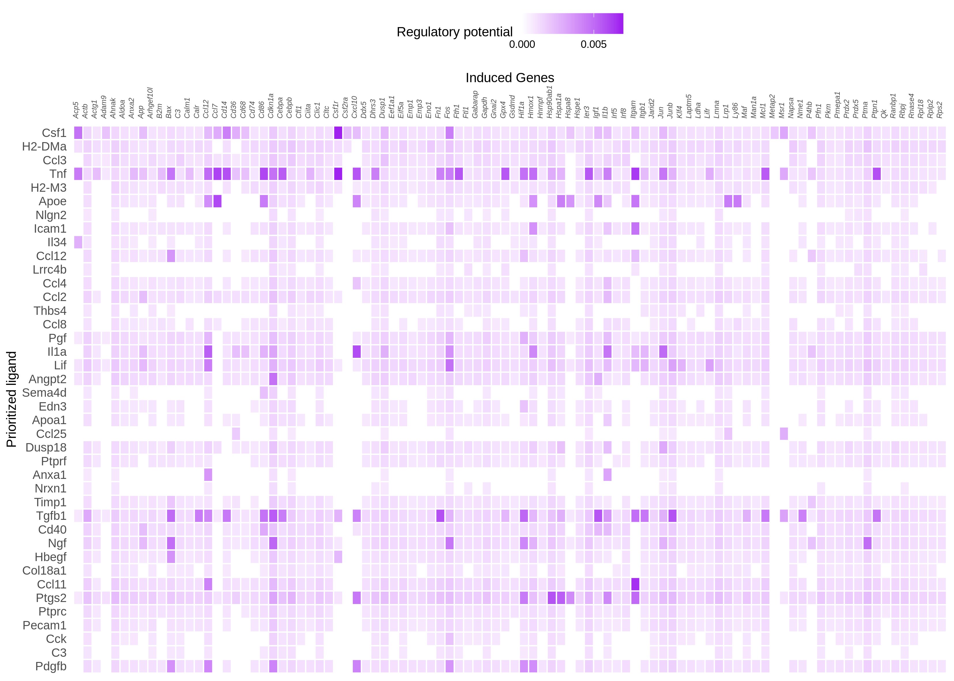 PCC of ligand activity 'contradicts'(?) the regulatory potential scores obtained later · Issue ...