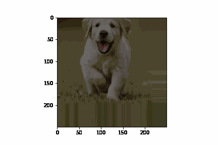 GitHub - ronakjpatel/Data_Science_Projects: Exceptionally valuable code ...