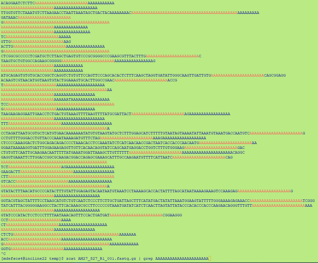cut_right not consistent · Issue #131 · OpenGene/fastp · GitHub