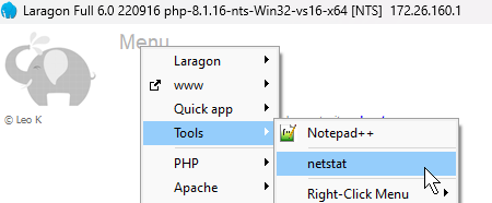 Using Laragon 6 Full with different ports · leokhoa laragon · Discussion #438 · GitHub