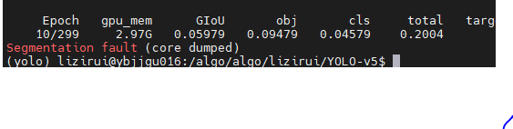 Have segmentation fault during training. · Issue #2419 · ultralytics/yolov5 · GitHub