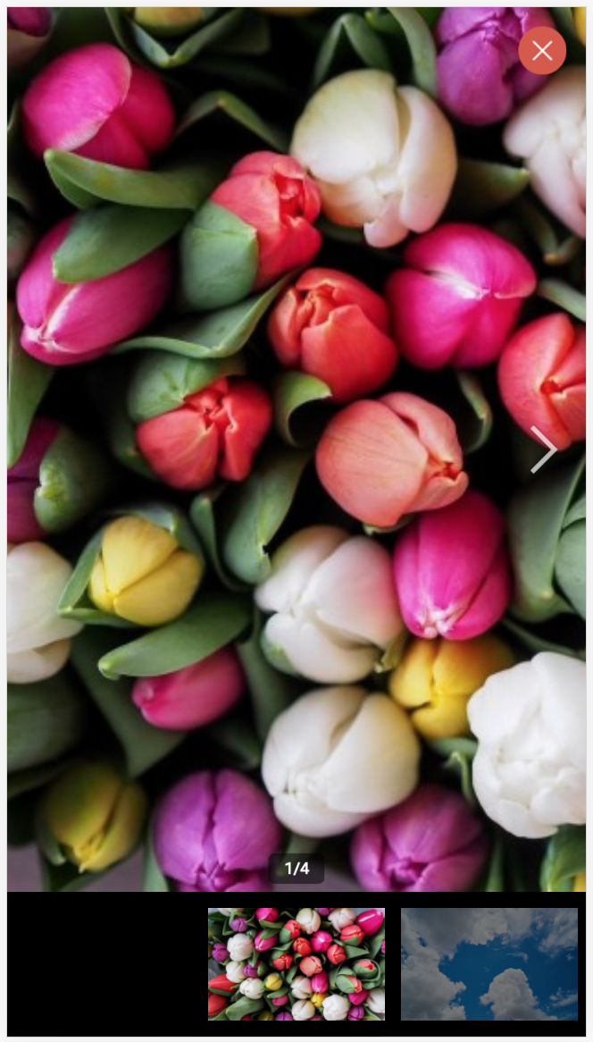 Lightbox gallery overlay close button is clicking behind · Issue #54 ...