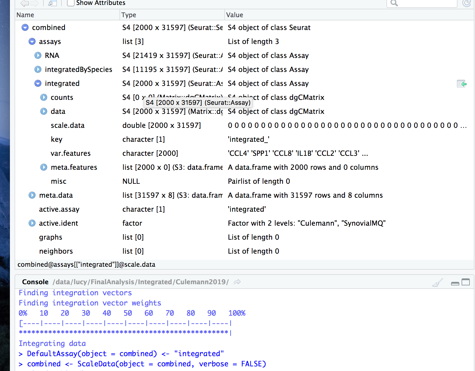 Cross species integration - RunPCA error · Issue #1964 · satijalab/seurat · GitHub