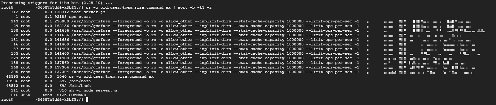 High Memory consumption · Issue #679 · GoogleCloudPlatform/gcsfuse · GitHub