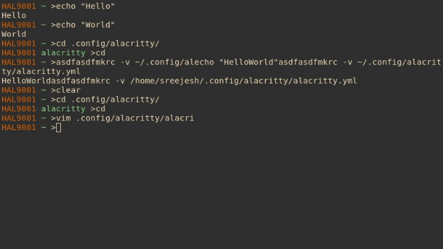 Prompt and Cursor Issue · Issue #3864 · alacritty/alacritty · GitHub