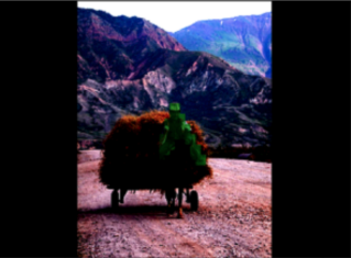 GitHub - santhanamhari/SOLO