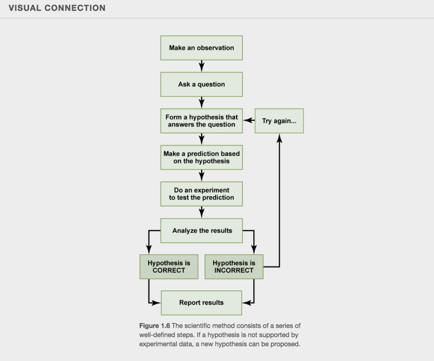 Doubled distance between subcaption and figure · Issue #1737 · openstax ...
