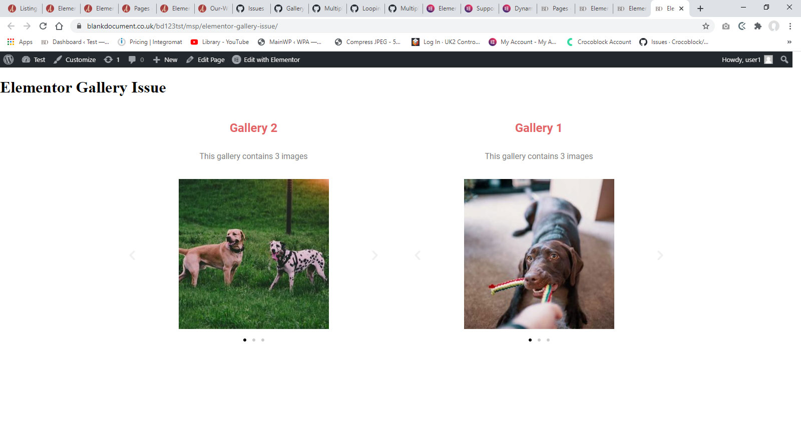 Looping lightbox with carousel · Issue #9198 · elementor/elementor · GitHub