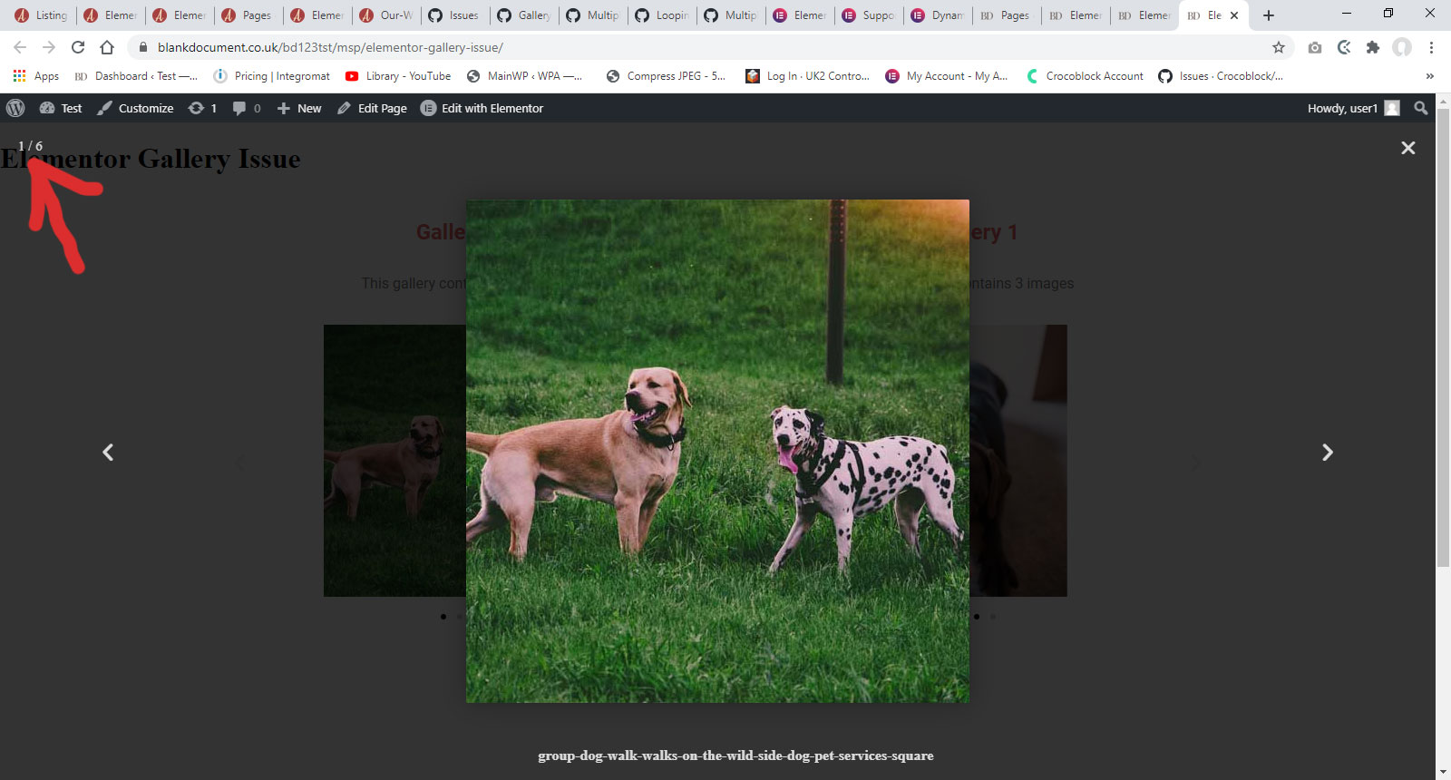 Looping lightbox with carousel · Issue #9198 · elementor/elementor · GitHub