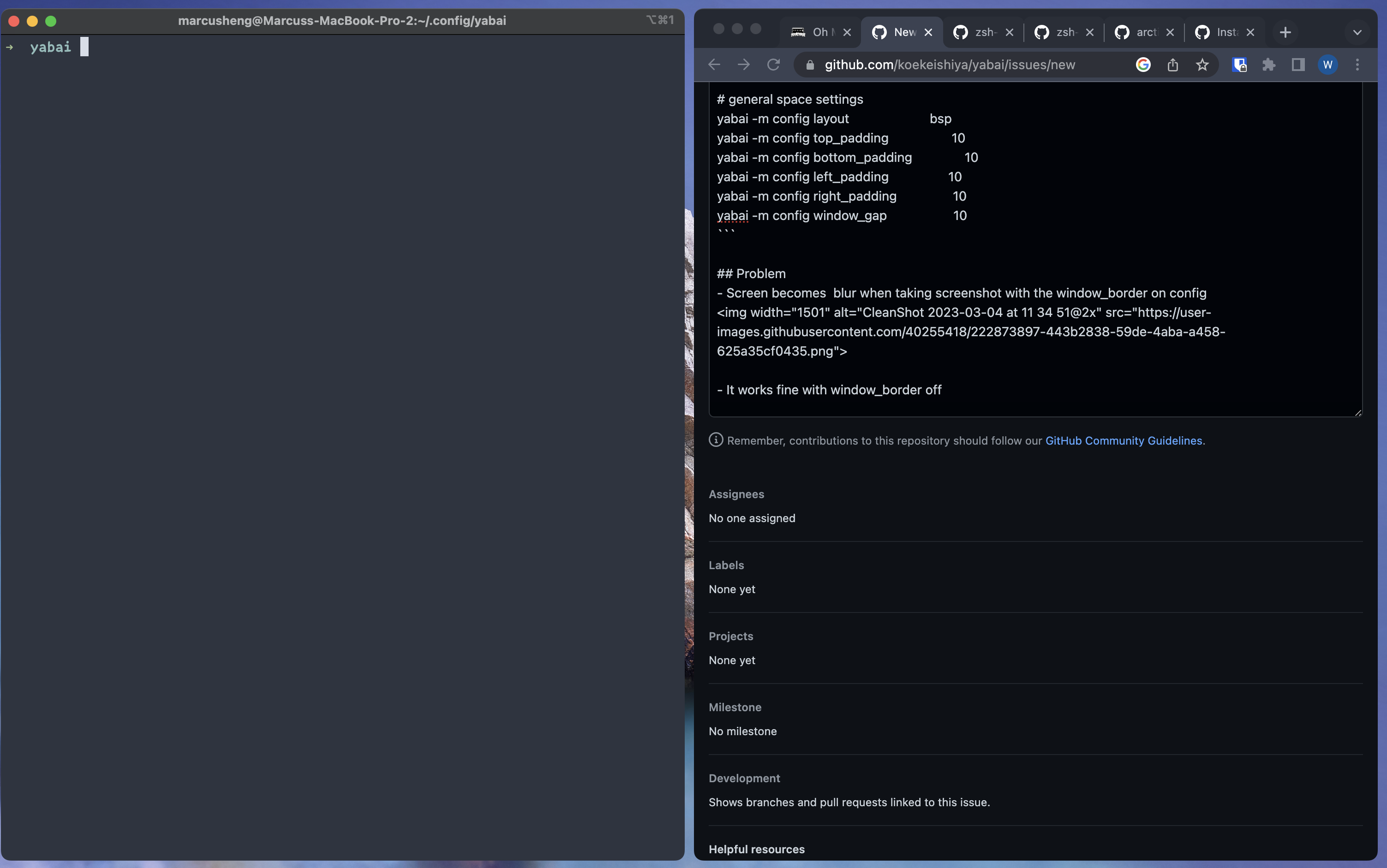 Enabling border makes the screen becomes blur when taking a screenshot with ScreenShot X · Issue ...