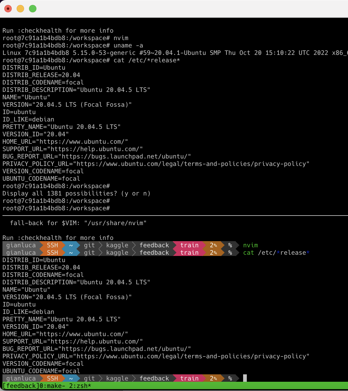 Highlighting issues running through docker · Issue #185 · ellisonleao ...