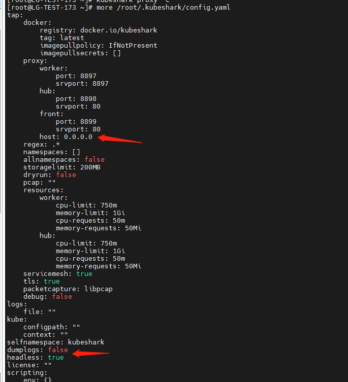can't access the ui of kubeshark version 39.4 from a remote IP address · Issue #1321 · kubeshark ...