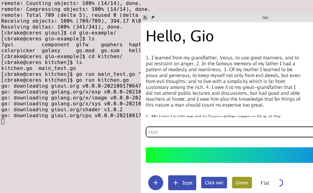 explore https://gioui.org/ as UI · Issue #270 · simpleiot/simpleiot · GitHub