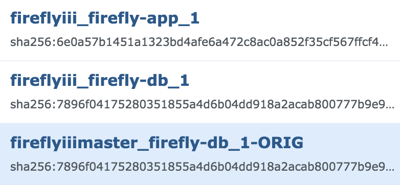 How to update firefly iii docker instance without losing transactions ...