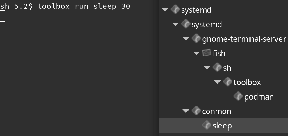 [Error] Terminal emulator seems to be unaware of child process in distrobox · Issue #432 ...